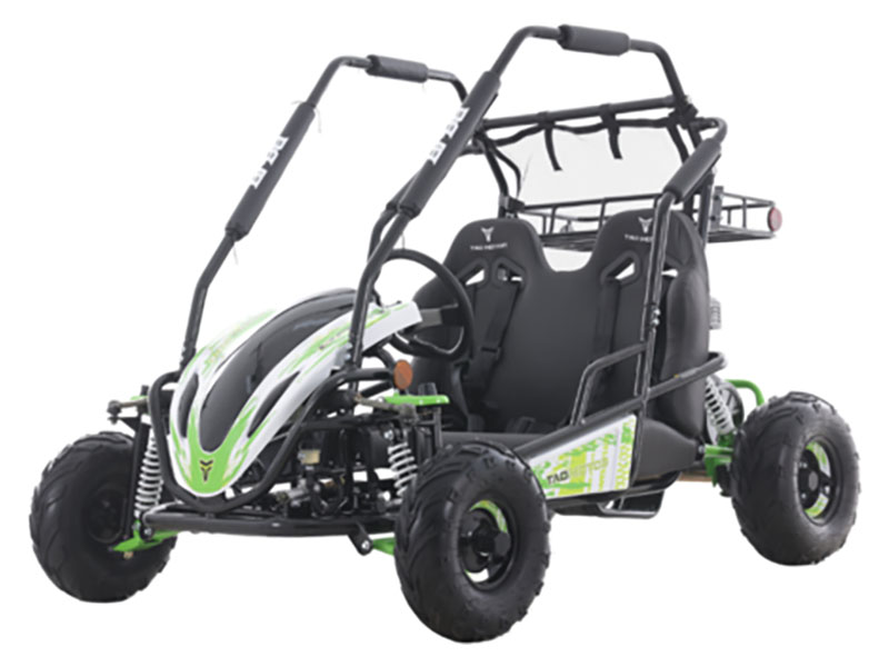 New 2025 Tao Motor Baja Sprinter 200 | Go-Karts in Largo FL | Green / White