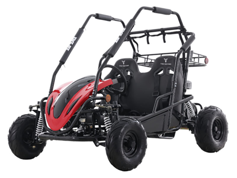 New 2025 Tao Motor Baja Sprinter 200 Go-Karts in Howell, MI