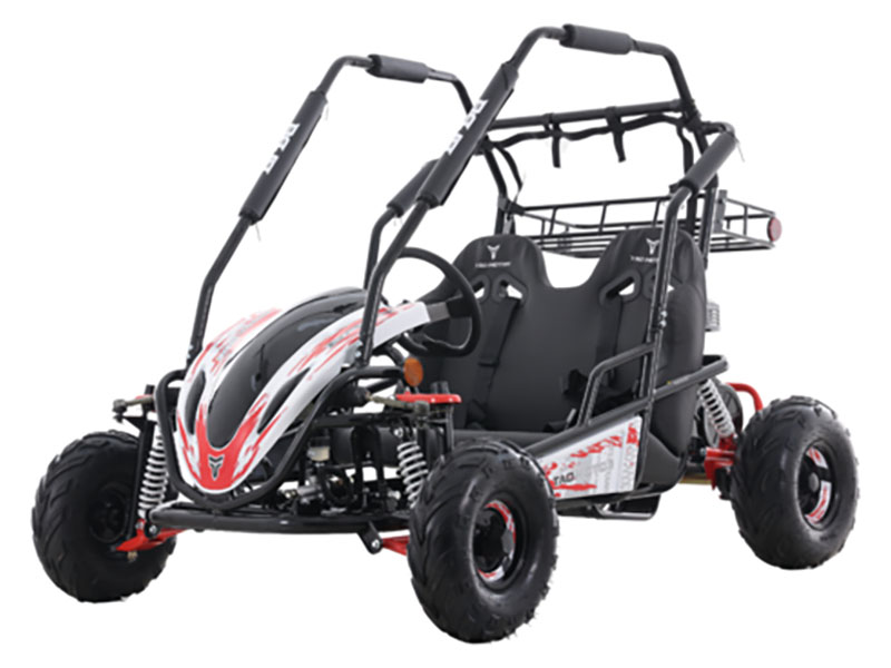 New 2025 Tao Motor Baja Sprinter 200 Go-Karts in Howell, MI