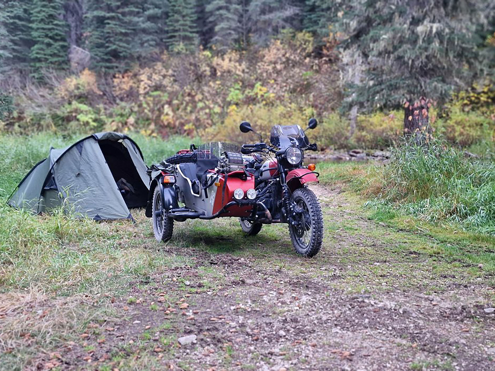 New 2025 Ural Motorcycles Gear Up Expedition Polar Dawn | Motorcycles ...