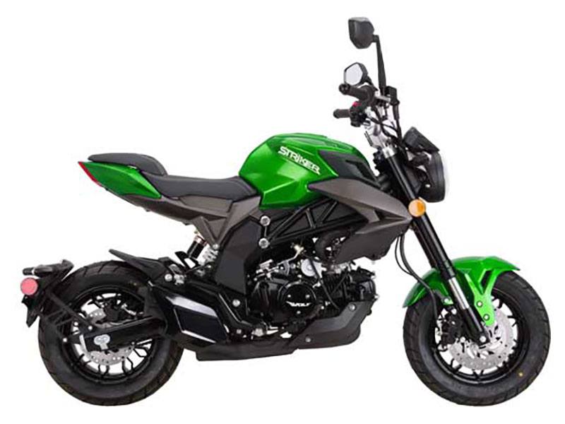 2024 Wolf Brand Scooters Wolf Striker | Motorcycles in Lockport IL near ...