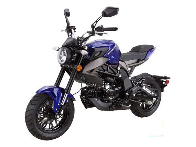 New 2025 Wolf Brand Scooters Wolf Striker Mini Moto, Salisbury MD ...