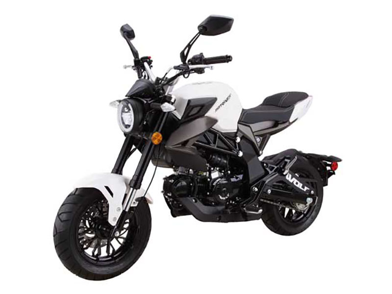 2025 Wolf Brand Scooters Wolf Striker | Motorcycles in Lockport IL near ...